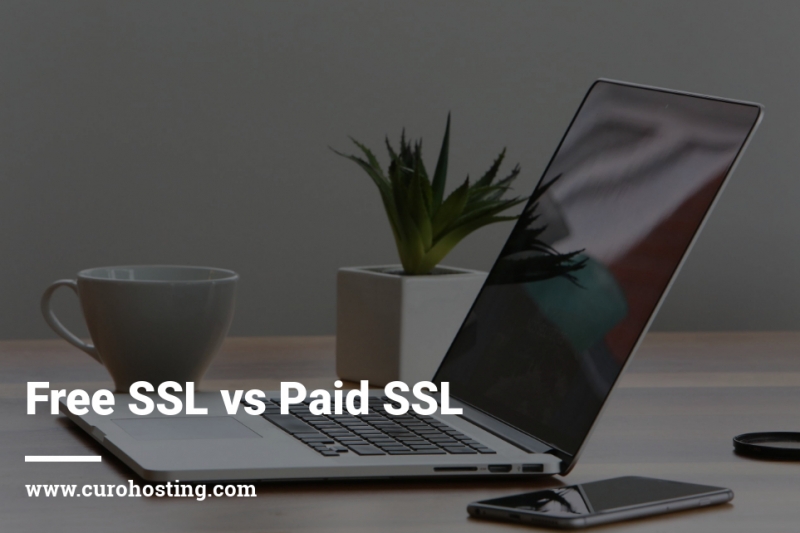 Free SSL vs Paid SSL - CuroHosting Blog